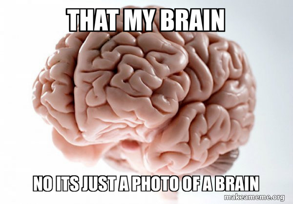 That my brain No its just a photo of a brain - Scumbag Brain Meme Generator