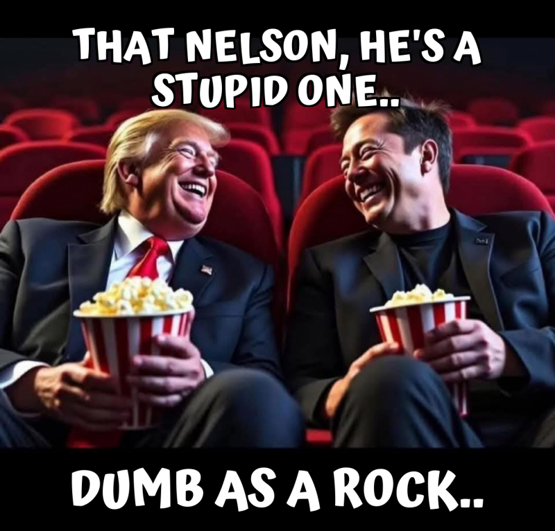 That nelson, he's a stupid one.. Dumb as a rock.. Meme Generator