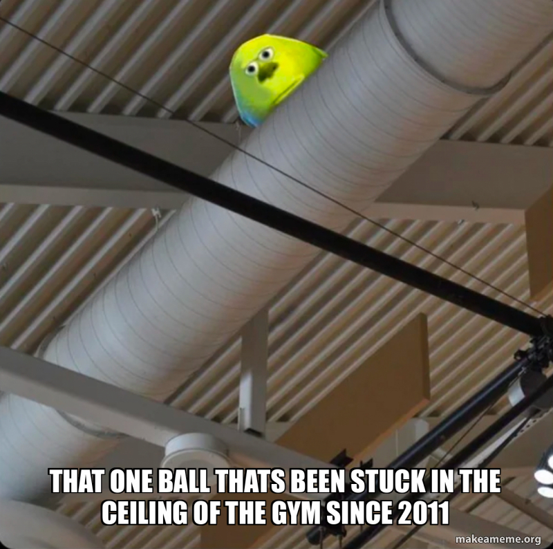 that one ball thats been stuck in the ceiling of the gym since 2011 ...
