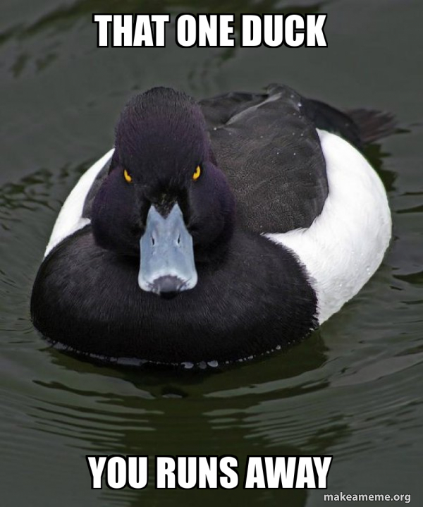 that one duck you runs away - Revenge Duck ( Angry Advice Duck ) Meme ...
