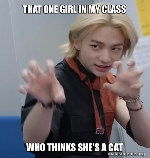 That one girl in my class who thinks she's a cat Meme Generator