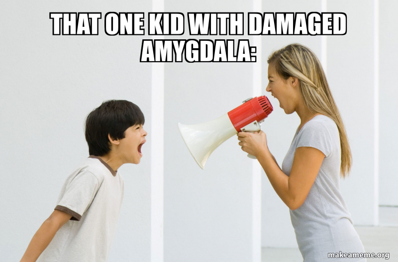 That one kid with damaged amygdala: Meme Generator