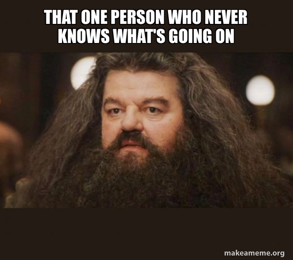 That one person who never knows what's going on - Hagrid - I should not ...