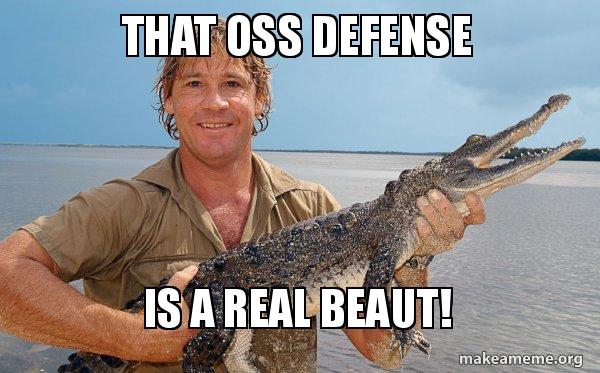 That OSS defense is a real beaut! - Steve irwin Meme Generator