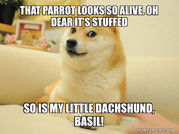 That parrot looks so alive. Oh dear it's stuffed So is my little ...