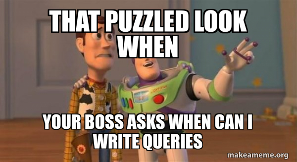 that puzzled look when your boss asks when can I write queries - Buzz ...