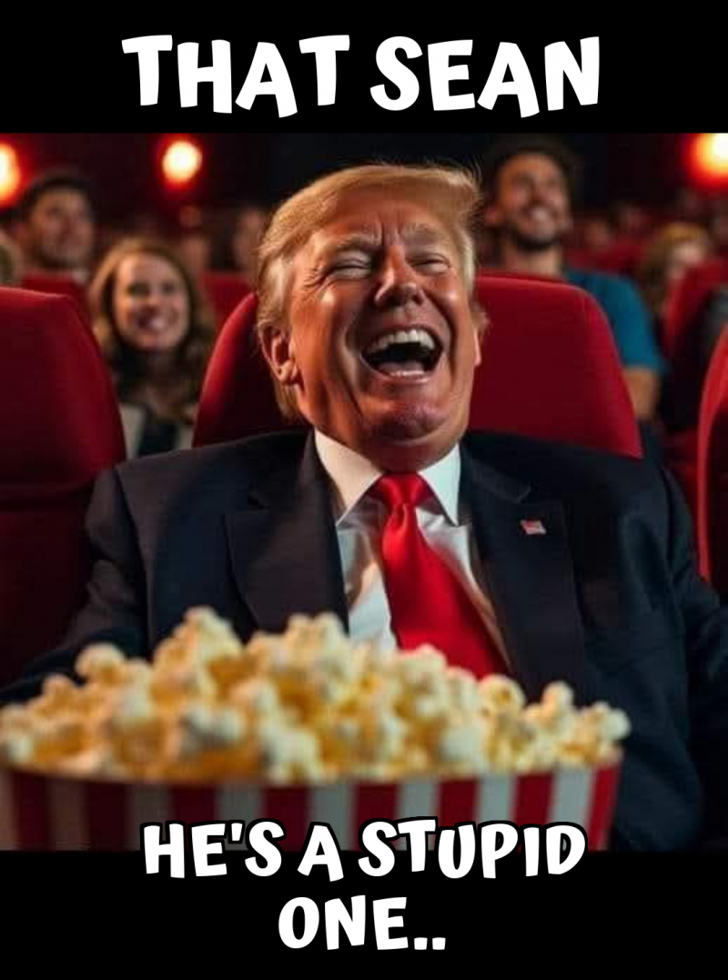 That sean He's a stupid one.. Meme Generator