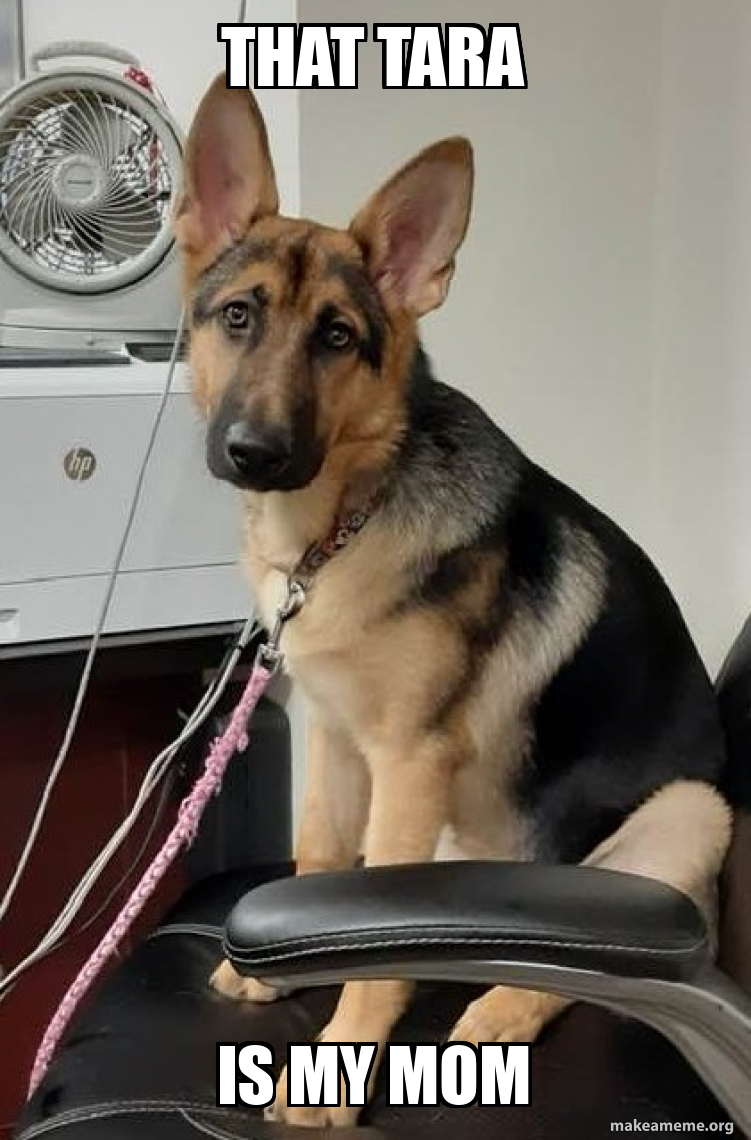 THAT TARA IS MY MOM Meme Generator