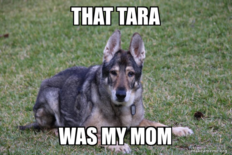 THAT TARA WAS MY MOM | Make a Meme