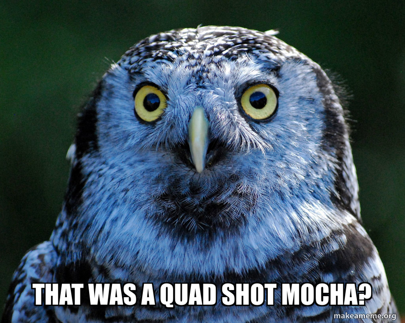 that was a quad shot mocha? Meme Generator