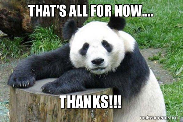 That's all for now.... Thanks!!! - Confession Panda Meme Generator