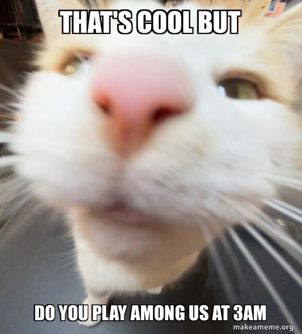 That's cool but Do you play among us at 3am Meme Generator