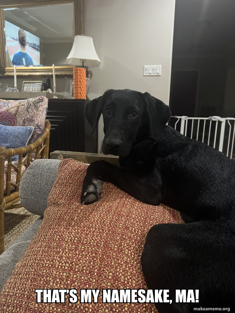 That’s my namesake, ma! Meme Generator