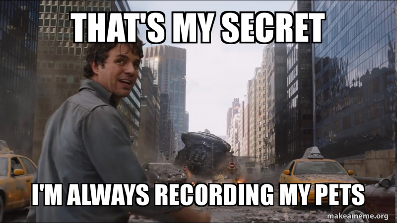 That's my secret I'm ALWAYS recording my pets Meme Generator