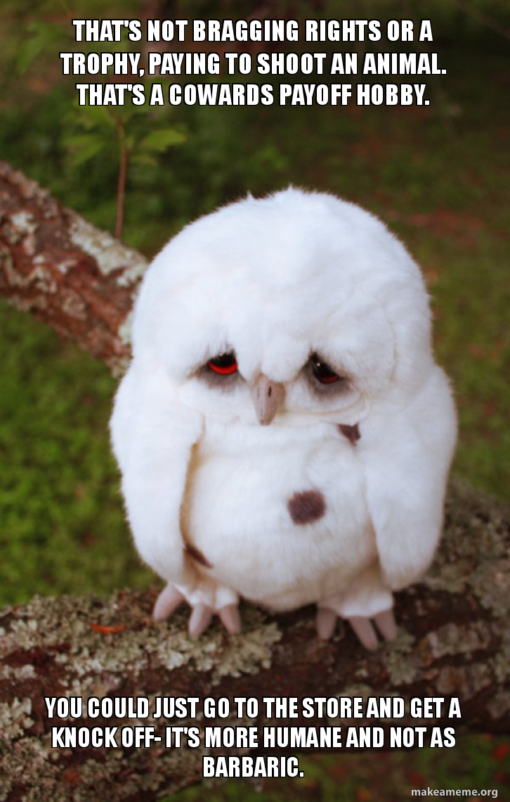 That's not bragging rights or a trophy, paying to shoot an animal. That ...