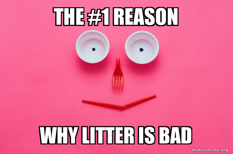 The #1 reason why litter is bad Meme Generator