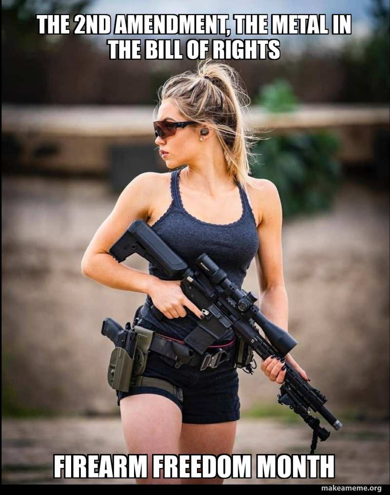 The 2nd Amendment, the Metal in the Bill of rights Firearm Freedom ...