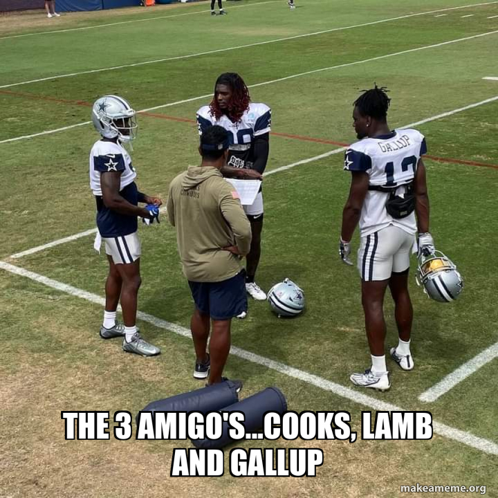 THE 3 AMIGO'S...COOKS, LAMB AND GALLUP Meme Generator