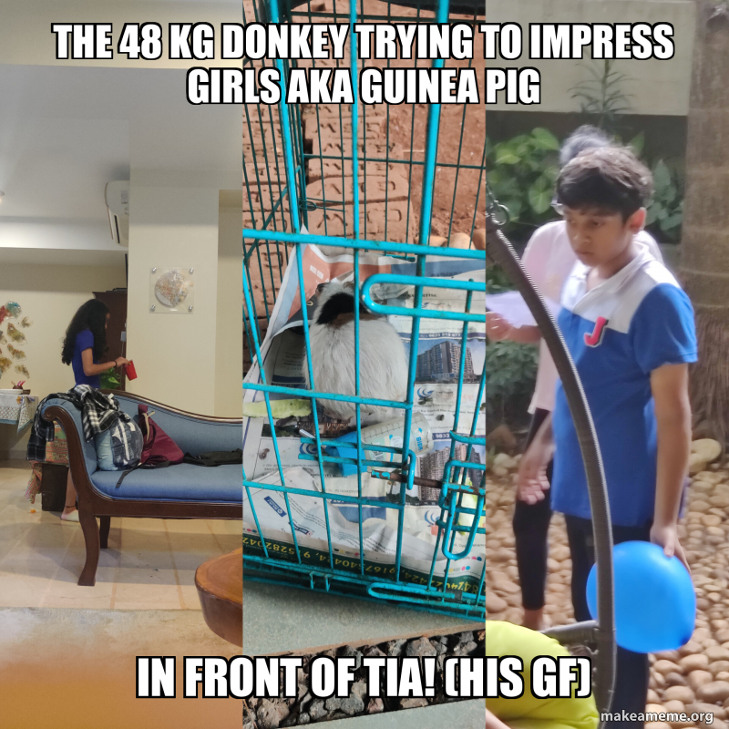 The 48 kg donkey trying to impress girls aka guinea pig In front of Tia ...