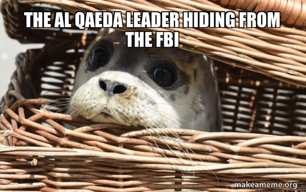 The Al Qaeda leader hiding from the fbi - Impending Doom Seal Meme ...