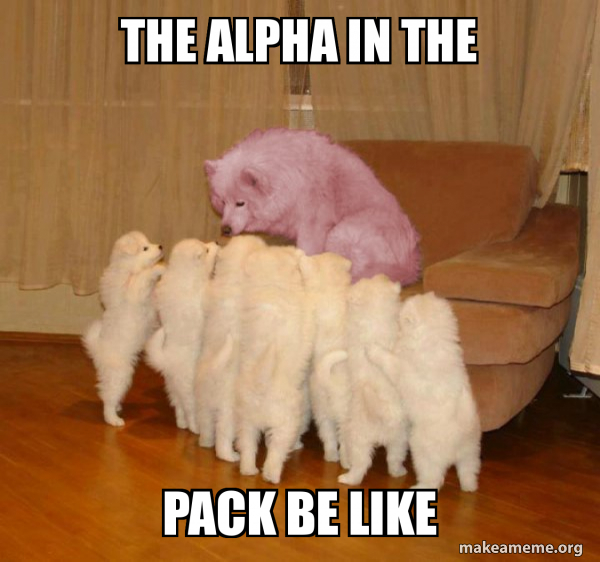 The alpha in the pack be like - Malicious Storytelling Dog Meme Generator