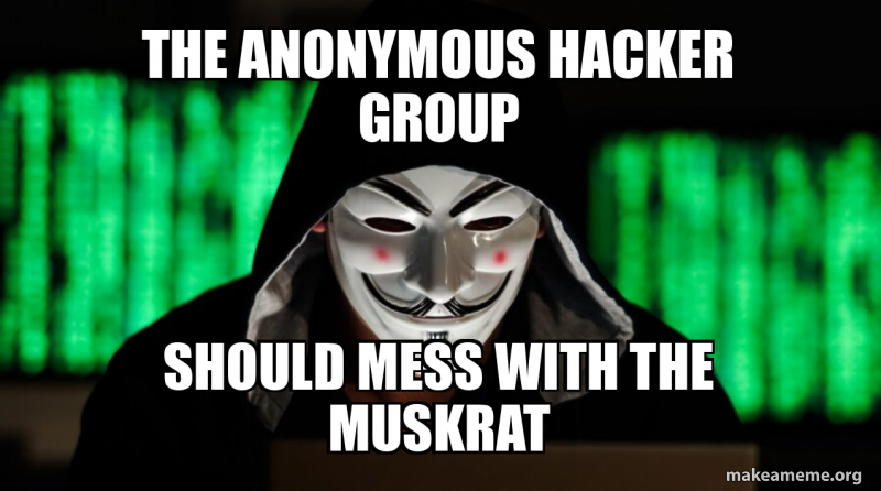 the anonymous hacker group should mess with the muskrat Meme Generator