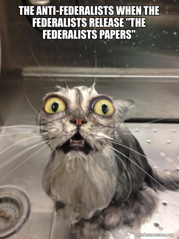 The Anti-Federalists when the Federalists release "The Federalists ...