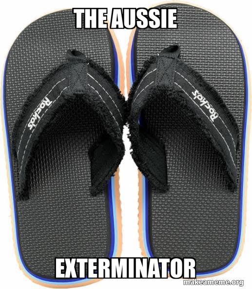 The aussie Exterminator Meme Generator