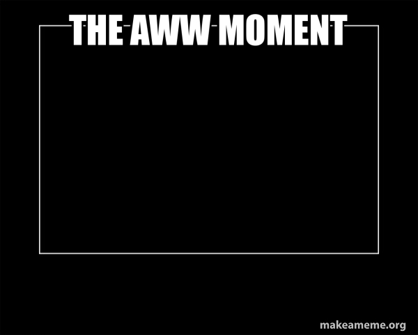 The Aww Moment - Motivational Meme Meme Generator