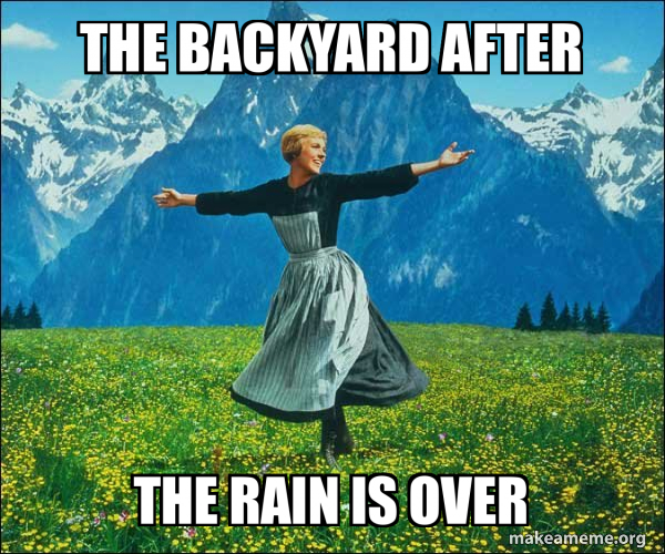 The backyard after the rain is over - Sound of Music Meme Generator