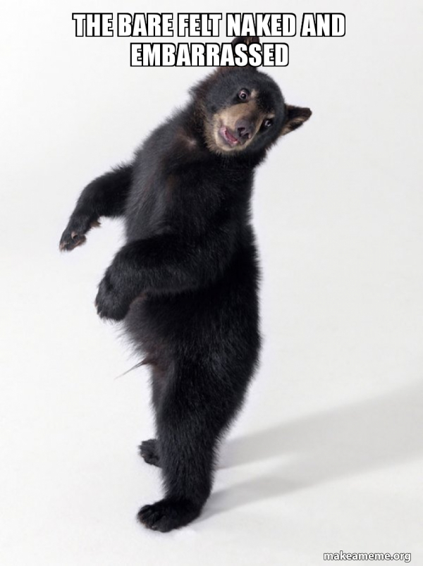 The bare felt naked and embarrassed - Super Bear'd Meme Generator