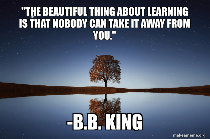 "the beautiful thing about LEARNING is that NObody can take it away ...