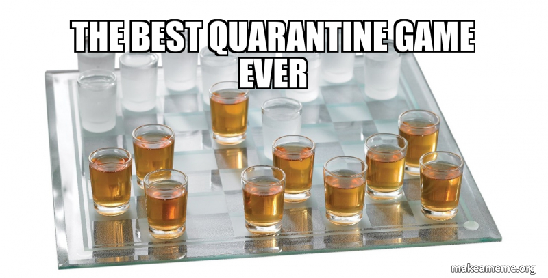 the best quarantine game ever Meme Generator