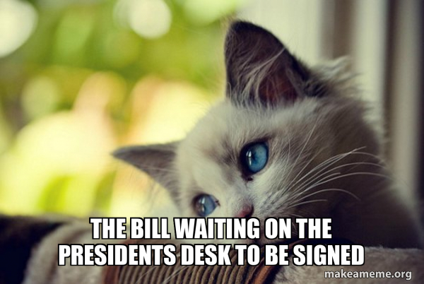 The bill waiting on the presidents desk to be signed - First World Cat ...