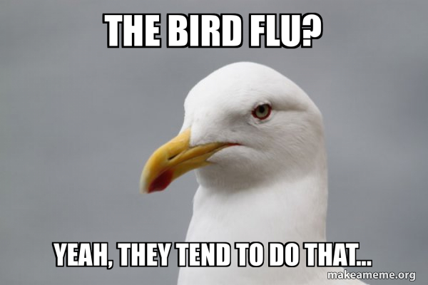 The Bird Flu? Yeah, they tend to do that... - Stuff That Didn't Happen ...