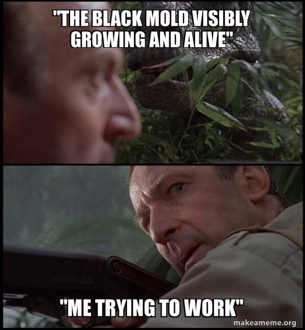 "The black mold visibly growing and alive" "Me trying to work" - Clever ...