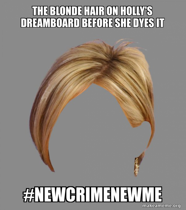 the blonde hair on holly's dreamboard before she dyes it #newcrimenewme ...