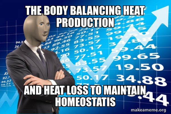 The body balancing heat production and heat loss to maintain ...