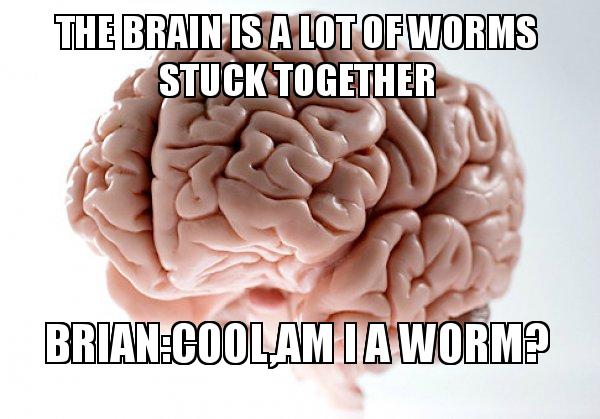 The brain is a lot of worms stuck together Brian:Cool,am i a worm ...