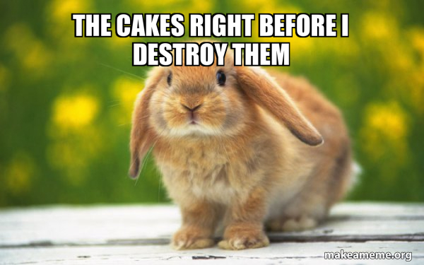 The cakes right before I destroy them - Regretful Rabbit Meme Generator