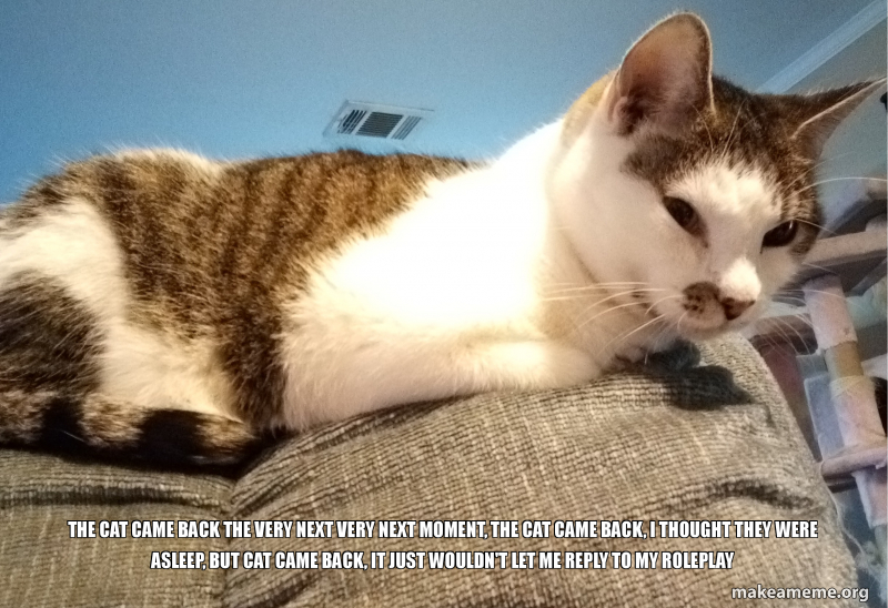 The cat came back the very next very next moment, The cat came back, I ...