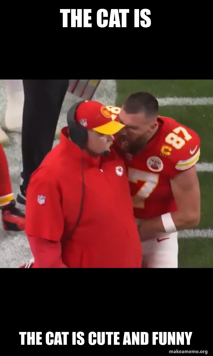 The cat is The cat is cute and funny - Travis Kelce and Coach Meme ...