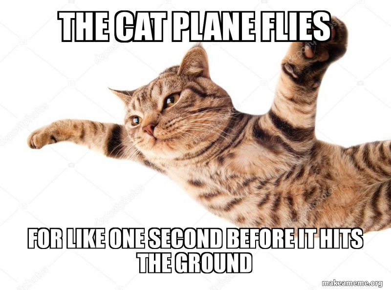 The Cat Plane Flies For Like One Second Before It Hits The Ground Meme ...