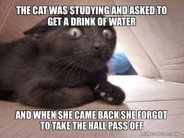 the cat was studying and asked to get a drink of water and when she ...
