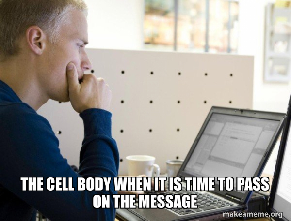 the cell body when it is time to pass on the message - Programmer Meme Generator