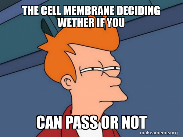 Memes For Cell Membrane