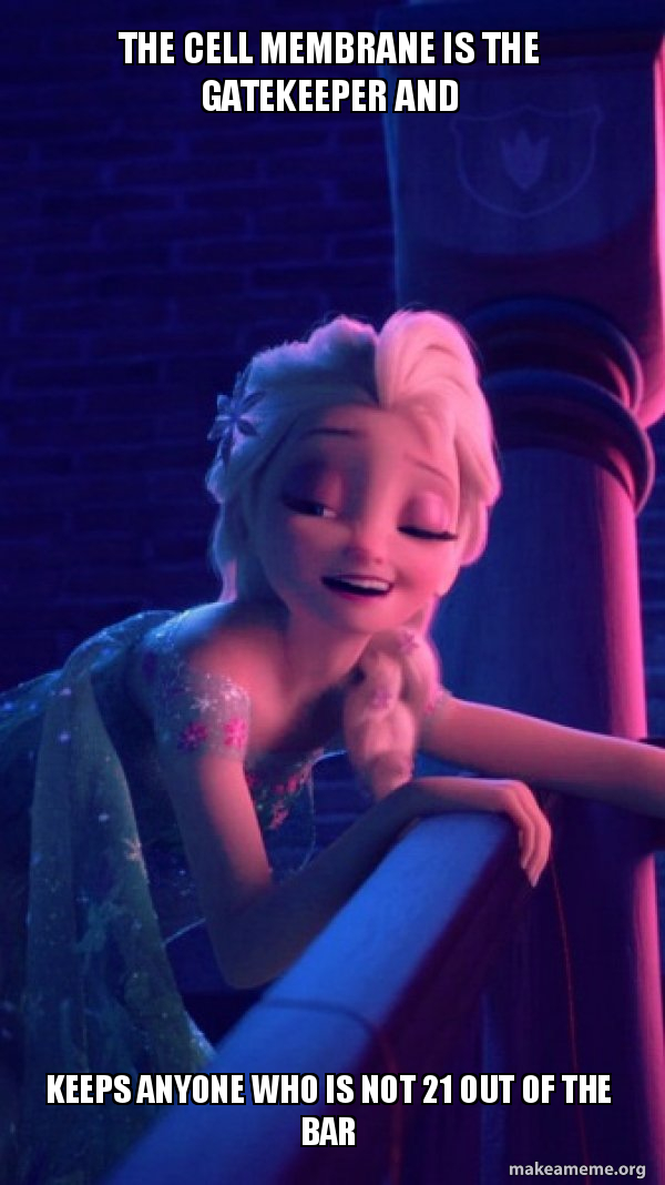 Gatekeeper Meme Memebase Gatekeeper All Your Memes In Our Base