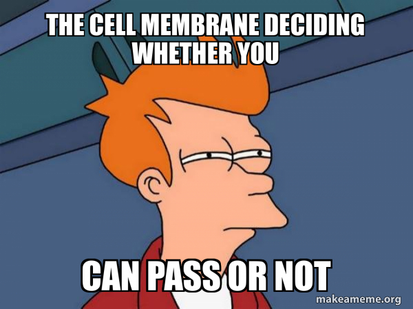 The Cell Membrane Deciding Whether You Can Pass or Not - Futurama Fry ...