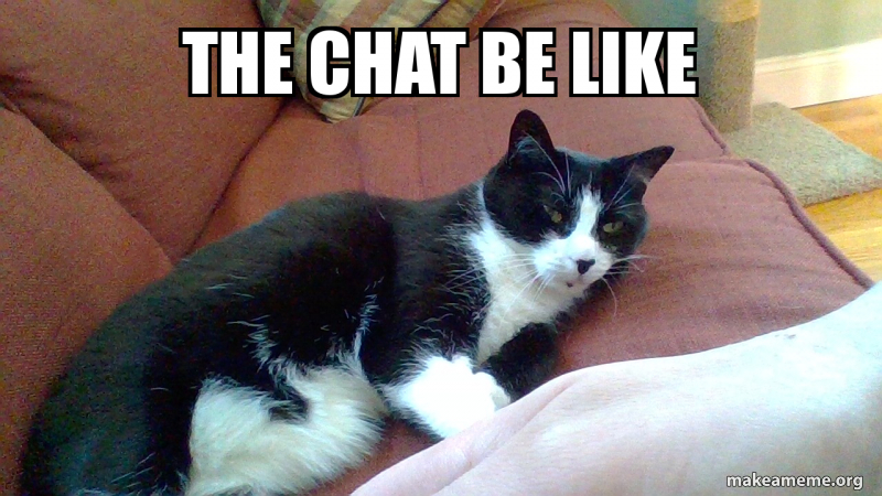 the chat be like Meme Generator