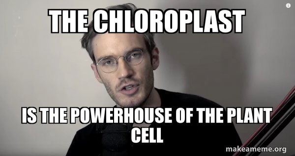 The Chloroplast Is the Powerhouse of the plant cell - Pewdiepie Meme ...